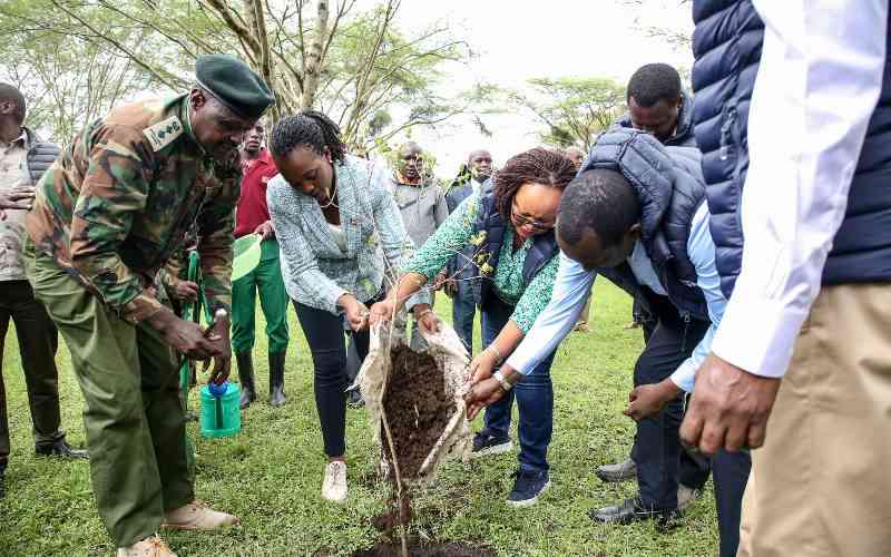 Tree planting: Tourists join bid to make Masai Mara green - The Standard