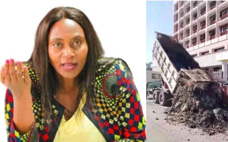 Clean up Stima Plaza garbage, Health Ministry orders Nairobi County ...