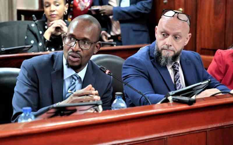 TikTok counters proposed ban in Parliament - The Standard