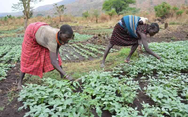 The Standard - Kenya & World News | Latest and Breaking news