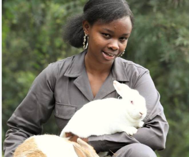 How few bunnies dug me out of a financial rabbit hole - The Standard