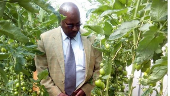 Elgon Kenya launches information center to address farmers concern ...