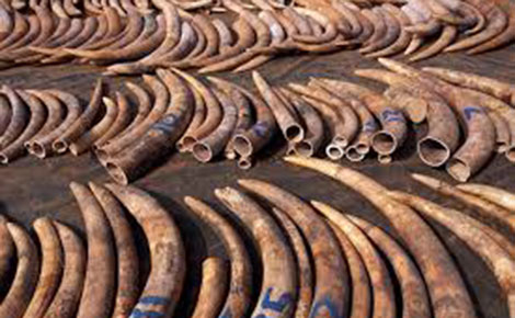 China donates anti-poaching equipment to four community conservancies ...