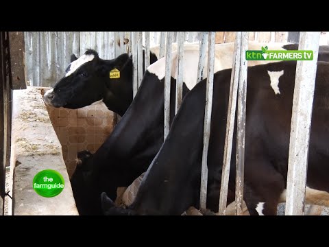 How to start and run a successful dairy farm - The FarmGuide Sn1 E1