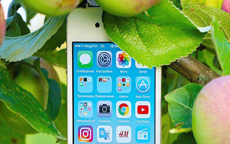 Agricultural apps every farmer should have - FarmKenya Initiative