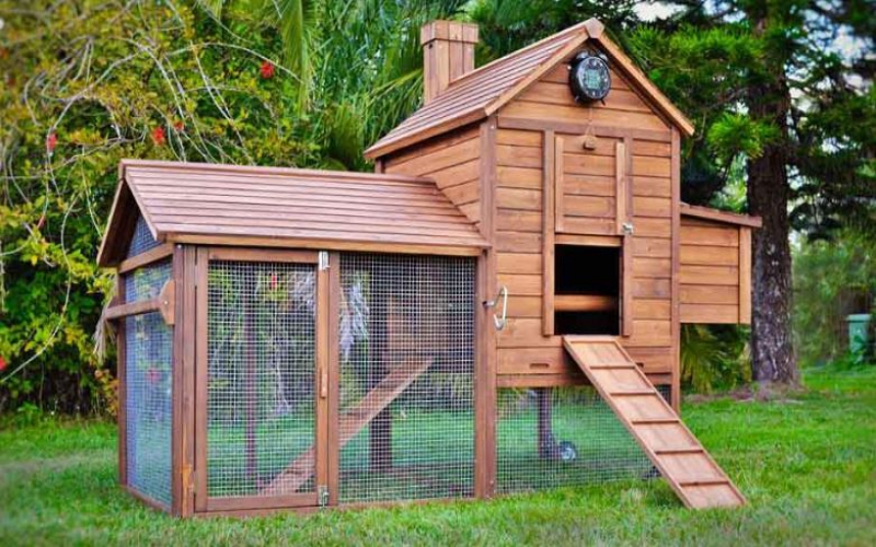 Checklist for building a good chicken house - FarmKenya Initiative