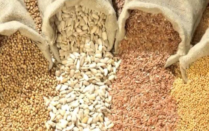 How to spot fake seeds - FarmKenya Initiative