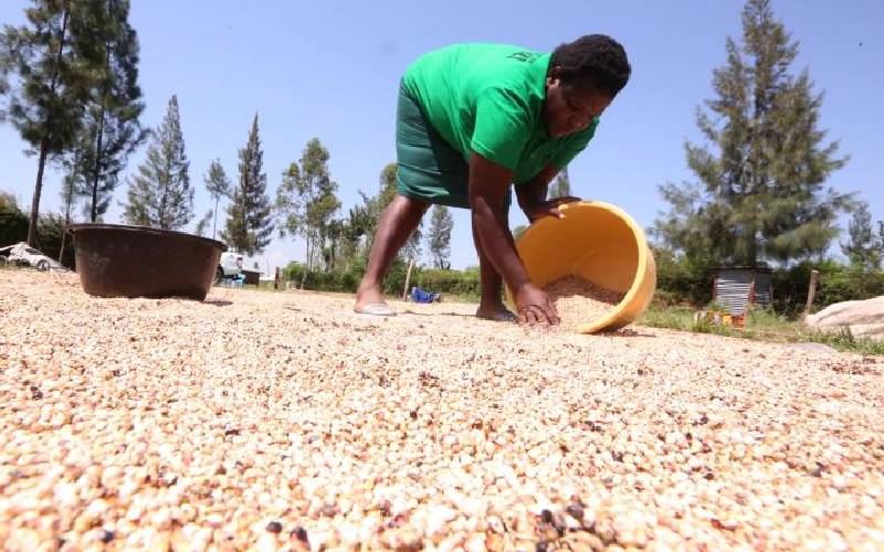 FAO Kenya partners with WHO to build principles of sustainable healthy ...