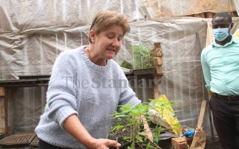 How I run a thriving organic farm in Nairobi’s Karen - FarmKenya Initiative