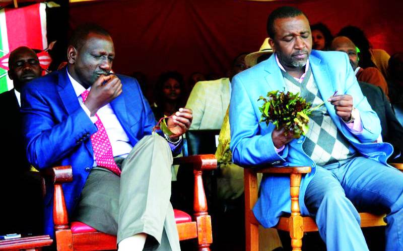Miraa farmers' woes take centre stage as Meru politicians hit campaign ...