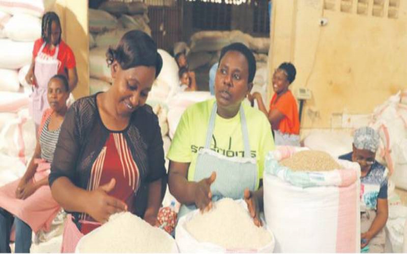 Cheap rice imports choke Mwea town’s Sh13b economy - FarmKenya Initiative