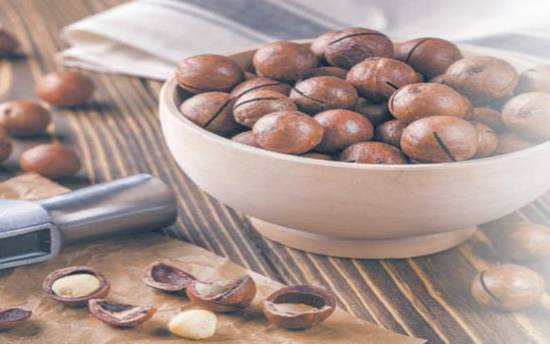 Meru fast-tracks macadamia farming - FarmKenya Initiative