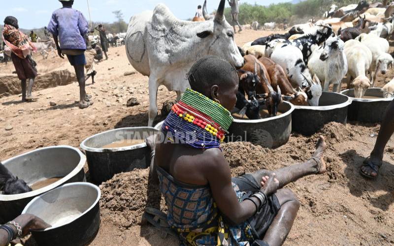 Water Day: Turkana residents no longer at ease as drought rages ...