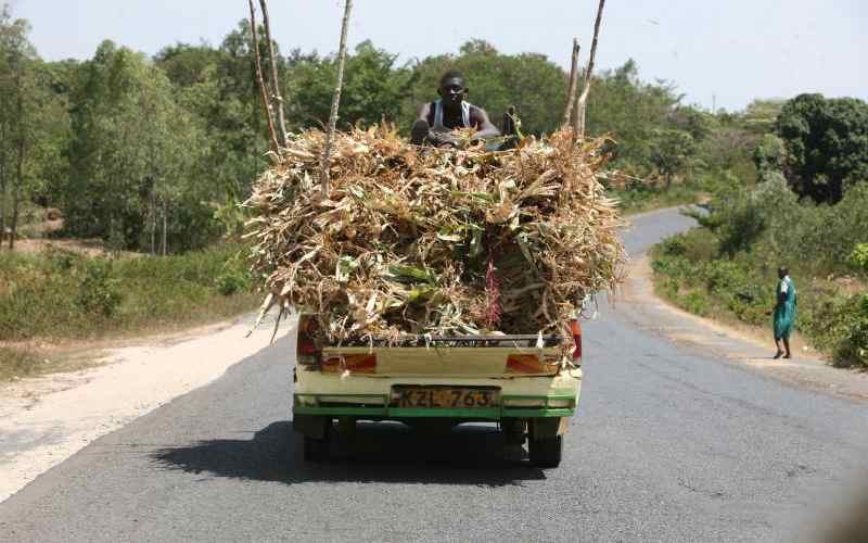 Bank to finance fodder production - The Standard