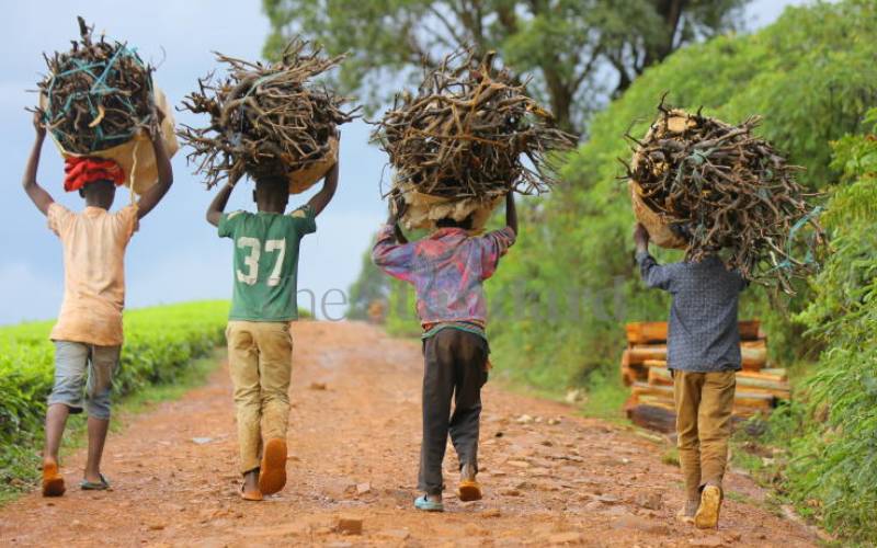 Let's rescue boy child without abandoning girl child agenda - The Standard