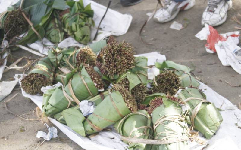 Meru MPs blame government for lost miraa markets, threaten demos ...