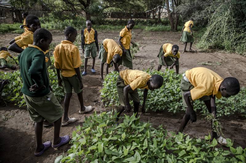 School garden in Turkana changes students’ perception on farming ...