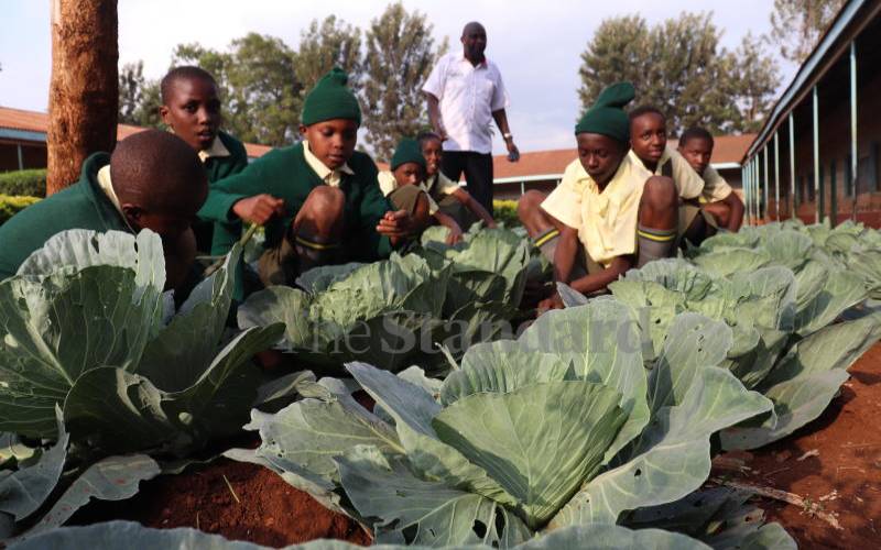 4K Clubs to help nurture future farmers in schools - FarmKenya Initiative