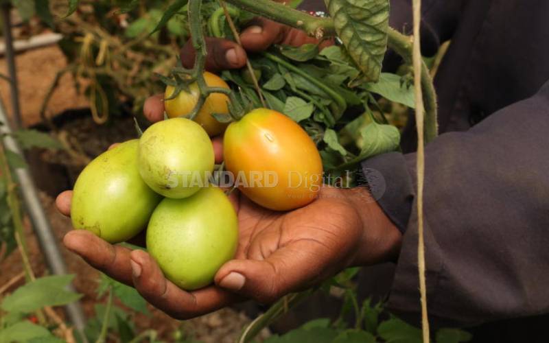Mkulima Expo 2021: Resilience in agriculture amid Covid-19 - FarmKenya ...