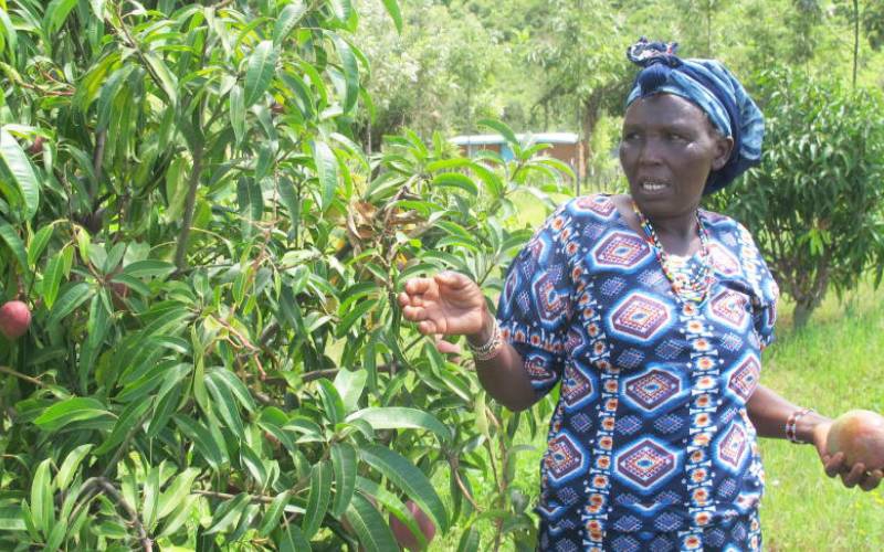 Why residents of Solai have insured their water projects - The Standard