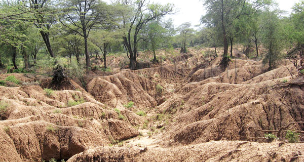Reckless human activity leaves land with ugly gullies in Kerio Valley ...