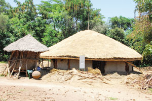 Home to Luo’s rich cultural heritage - The Standard