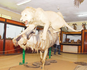 Home to Luo’s rich cultural heritage - The Standard