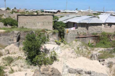 New case filed in Mombasa court to stop Waitiki Farm payment - The Standard