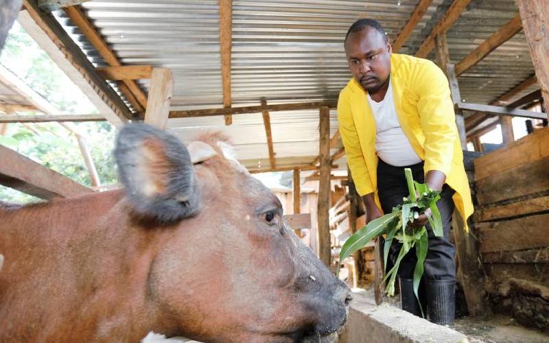 What you need to make quality feeds - The Standard