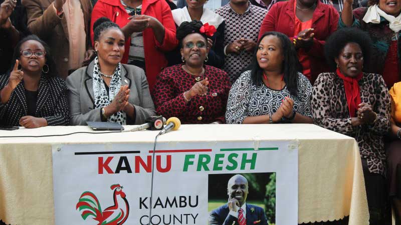 KANU to revamp as it gets ready for 2022 - The Standard Entertainment