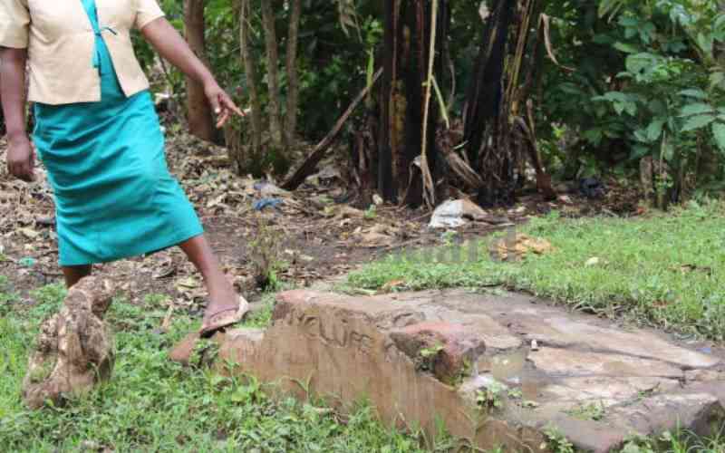 Winning the war on cattle rustling needs more than police and army ...