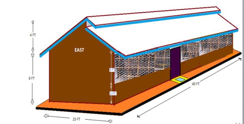This the ideal house for a poultry farm business