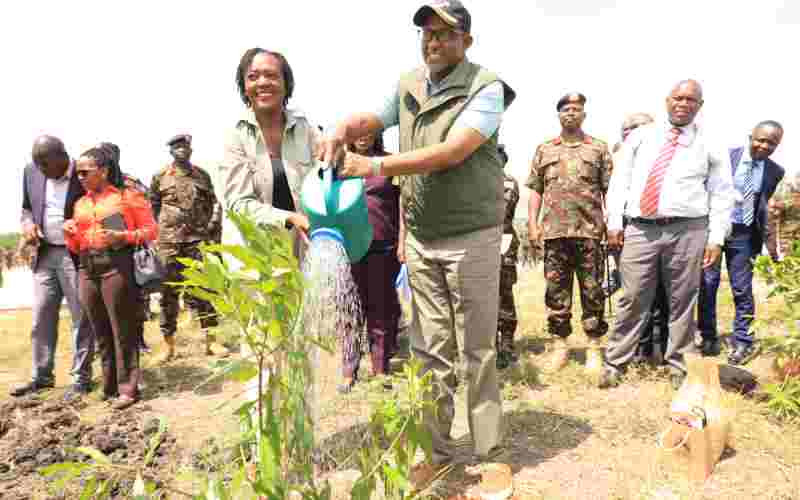 CS Tuya: Tree planting, weapon to fight climate security - The Standard