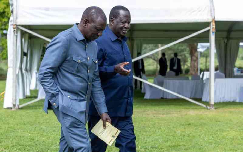 Inside the well oiled Ruto-Raila campaign for AU top position - The ...