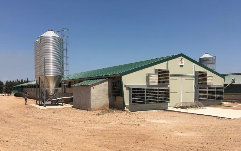 This the ideal house for a poultry farm business - The Standard