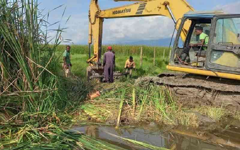 Inside William Ruto's 2,500-acre farm that has dominated 2022 campaigns ...