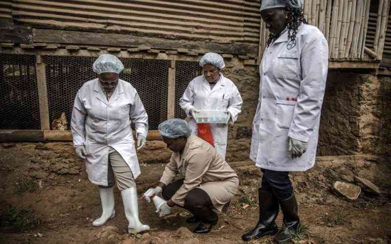 How farmers can fight growing antimicrobial resistance - FarmKenya ...