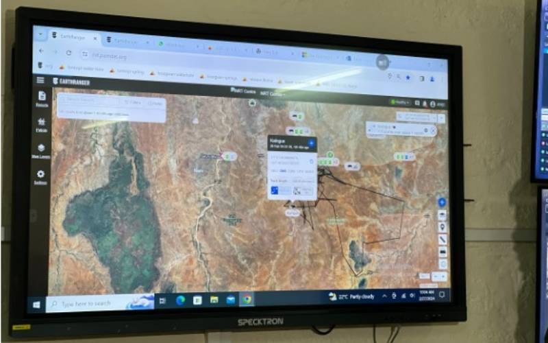 How digital innovation is safeguarding wildlife conservation