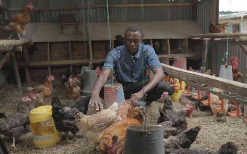 I ditched accounting career for poultry - The Standard