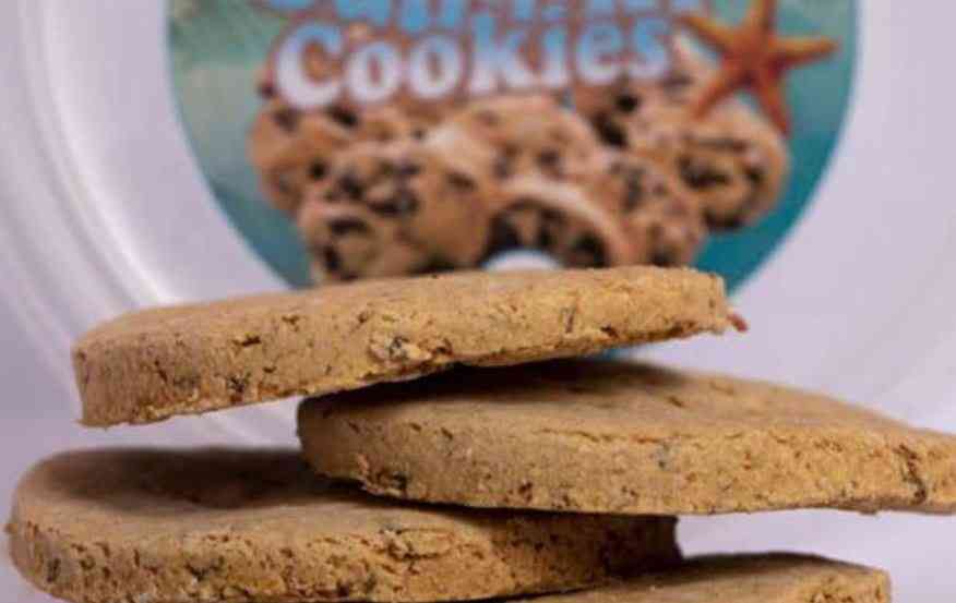 Edible innovation: How fish cookies are fighting hunger - TNX Africa