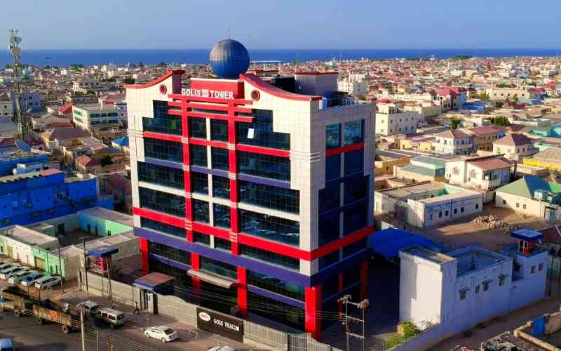 How Golis telco is changing Puntland's story - The Standard
