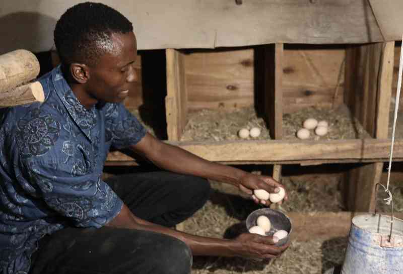 Emmanuel Ragot, a 29 year old poultry farmer at his farm in HomaBay ...
